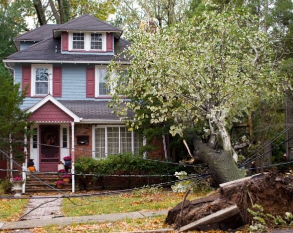 Learn How to Prepare Your Roof For Strong Winds